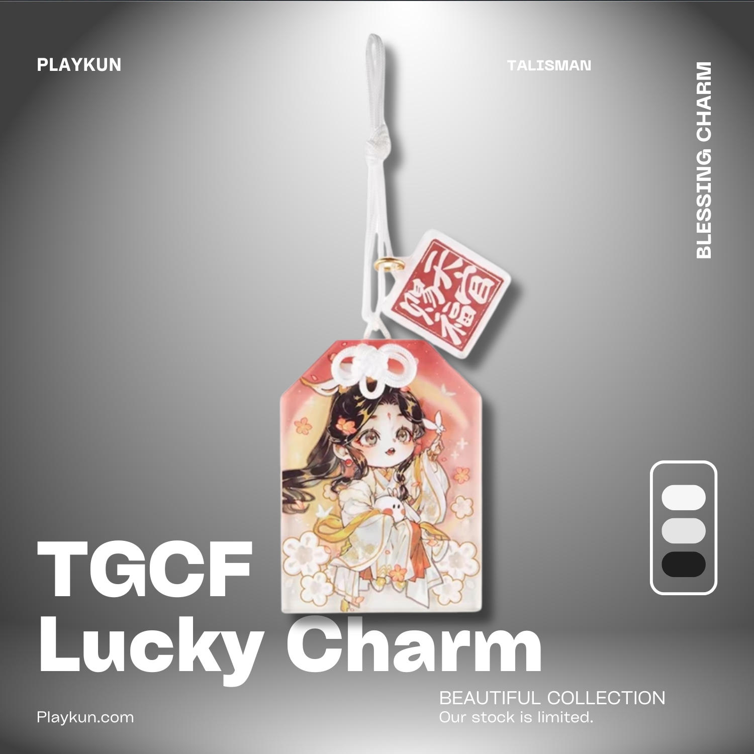 Heaven Official’s Blessing Xie Lian Chibi Acrylic Lucky Charm Talisman ...